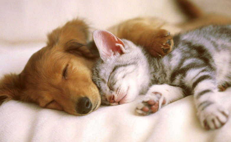 Test Development Platform - Kryterion